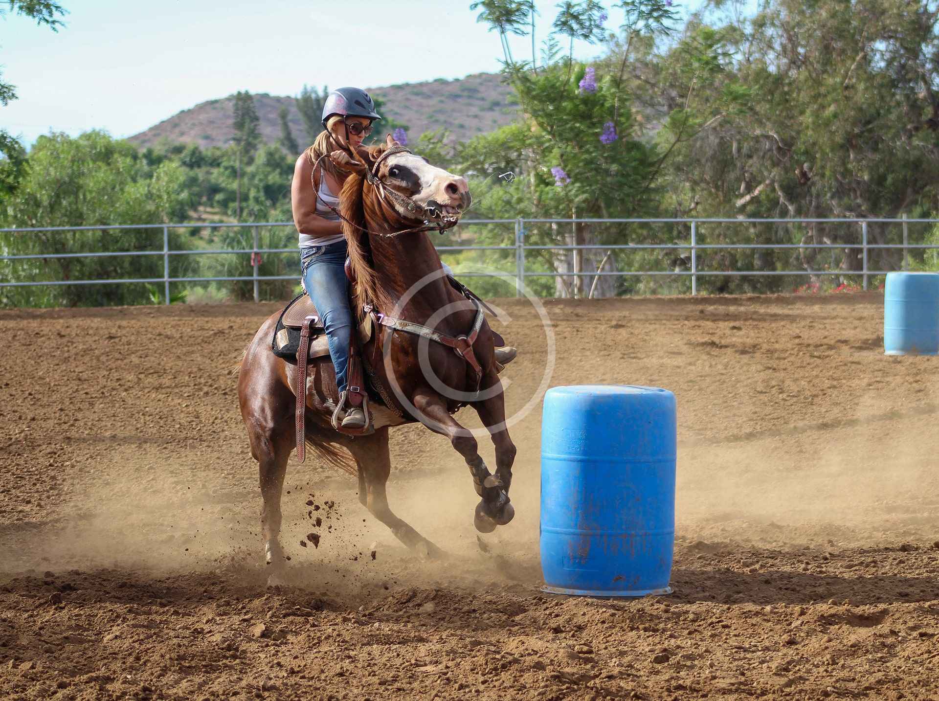 Top 5 tips for bonding with your horse partner – Arena horse riding